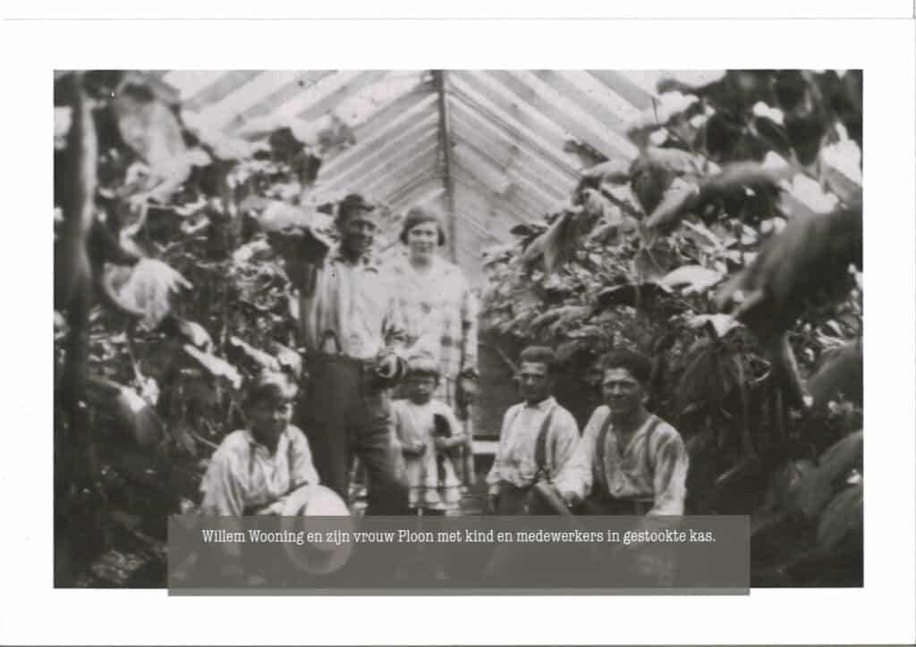 World of Orchids - World of Orchids